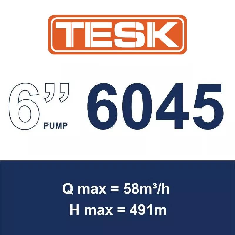 6-inch Submersible Pump - VSP SS 6045 Range | Submersible Pumps | 6 ...